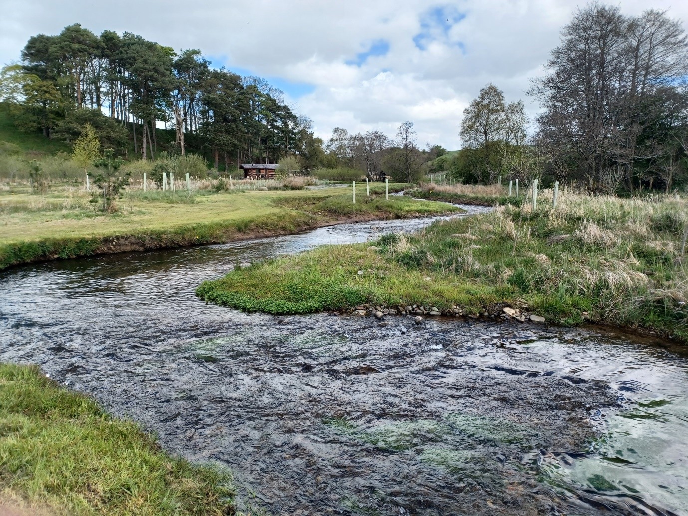 Fellfoot Forward Better becks – North Pennines National Landscape